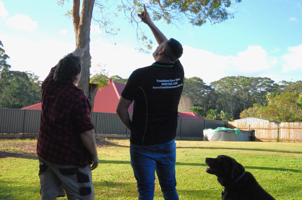 Our Mission - Transform Tree Care