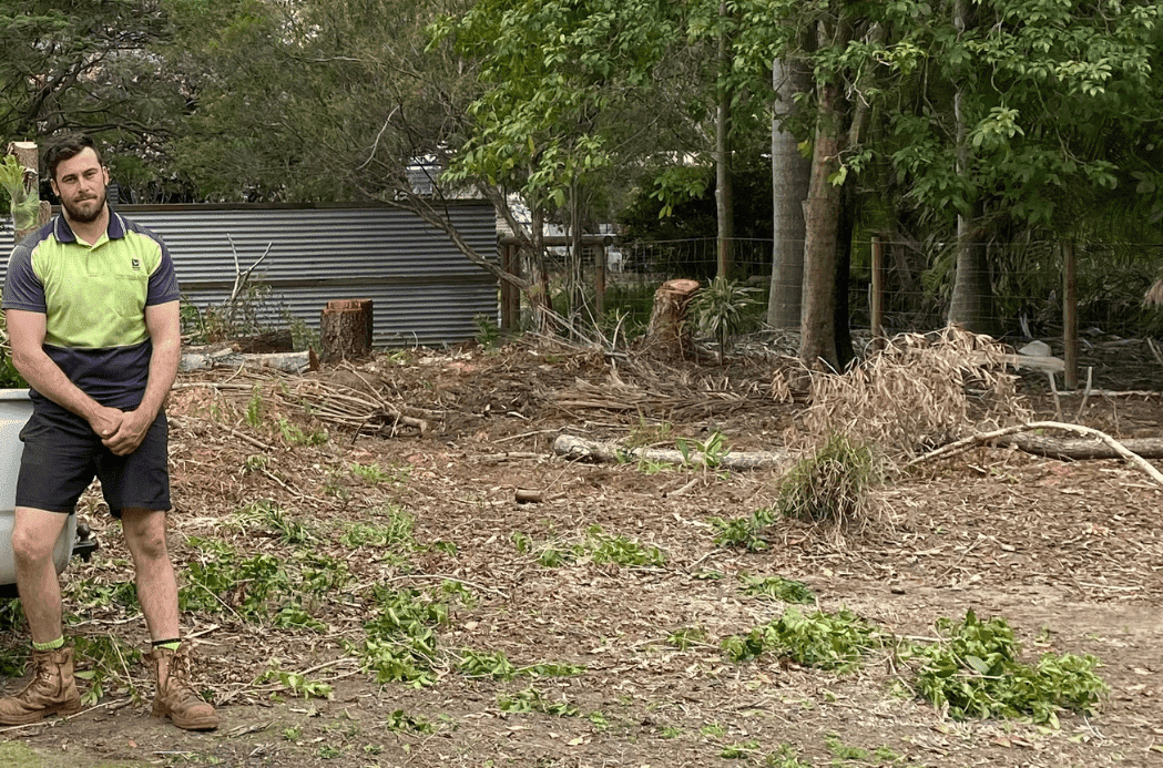 Transform Tree Care | Qualified Arborist